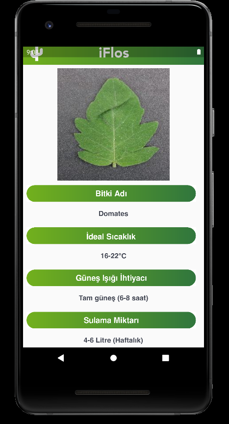 GitHub - batuhankrl/iFlos-Application: plant analysis application with flutter