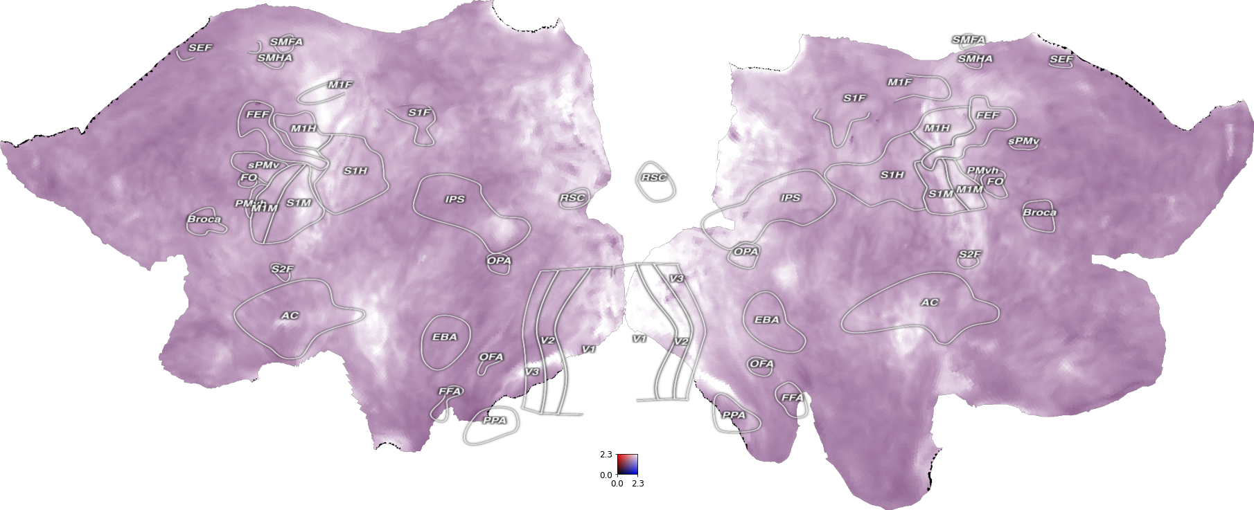 Creating new "subject" with new annotations · Issue #392 · gallantlab/pycortex · GitHub