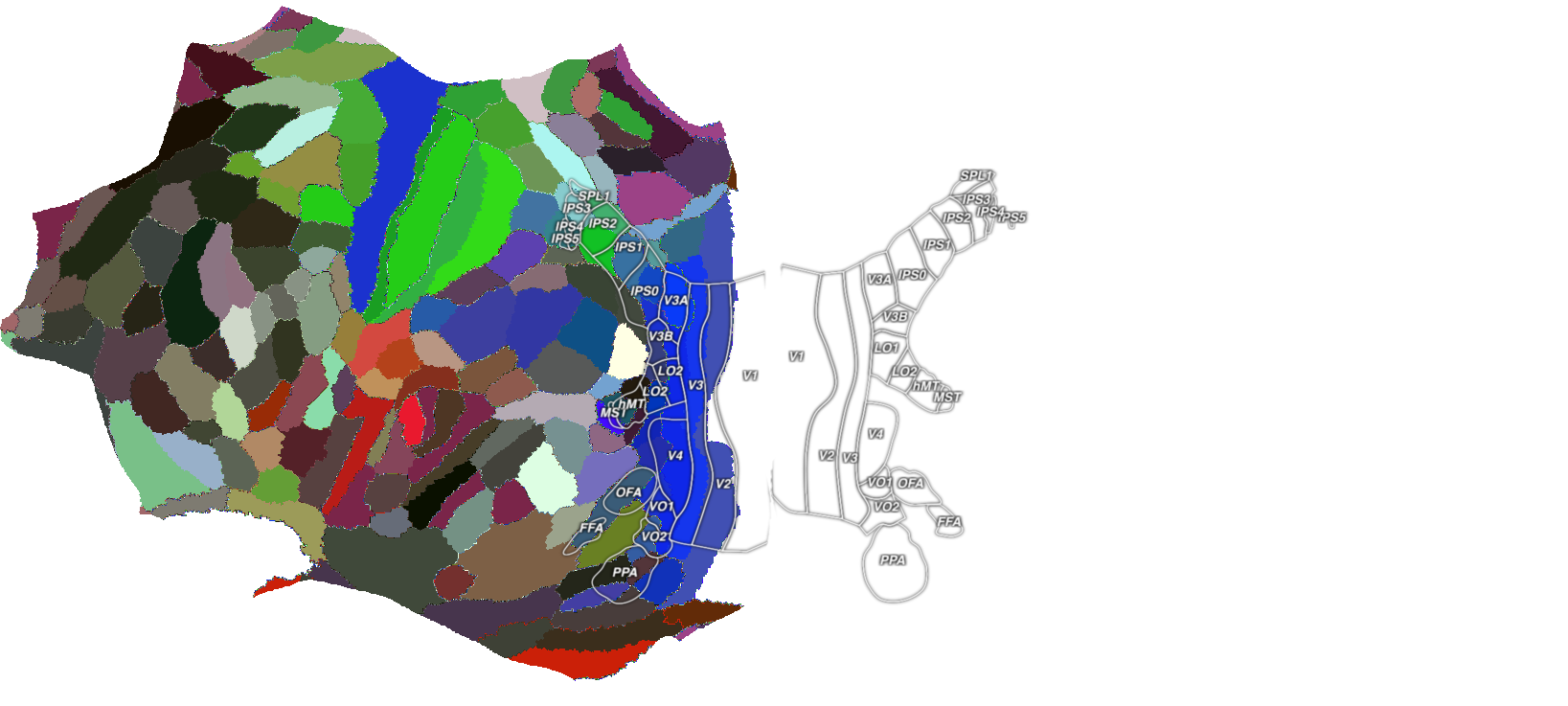 Creating new "subject" with new annotations · Issue #392 · gallantlab/pycortex · GitHub