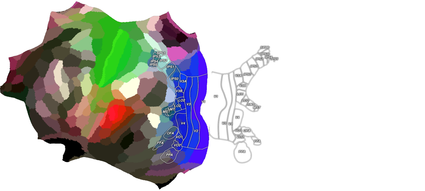 Creating new "subject" with new annotations · Issue #392 · gallantlab/pycortex · GitHub