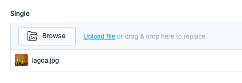 Asset fieldtype in list mode limited to one asset still shows add button · Issue #6687 ...