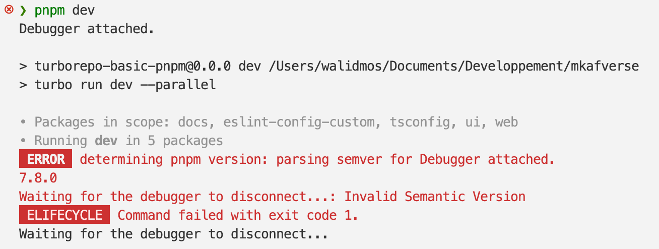 Pnpm in vscode terminal won't run in debug mode · Issue #1633 · vercel ...