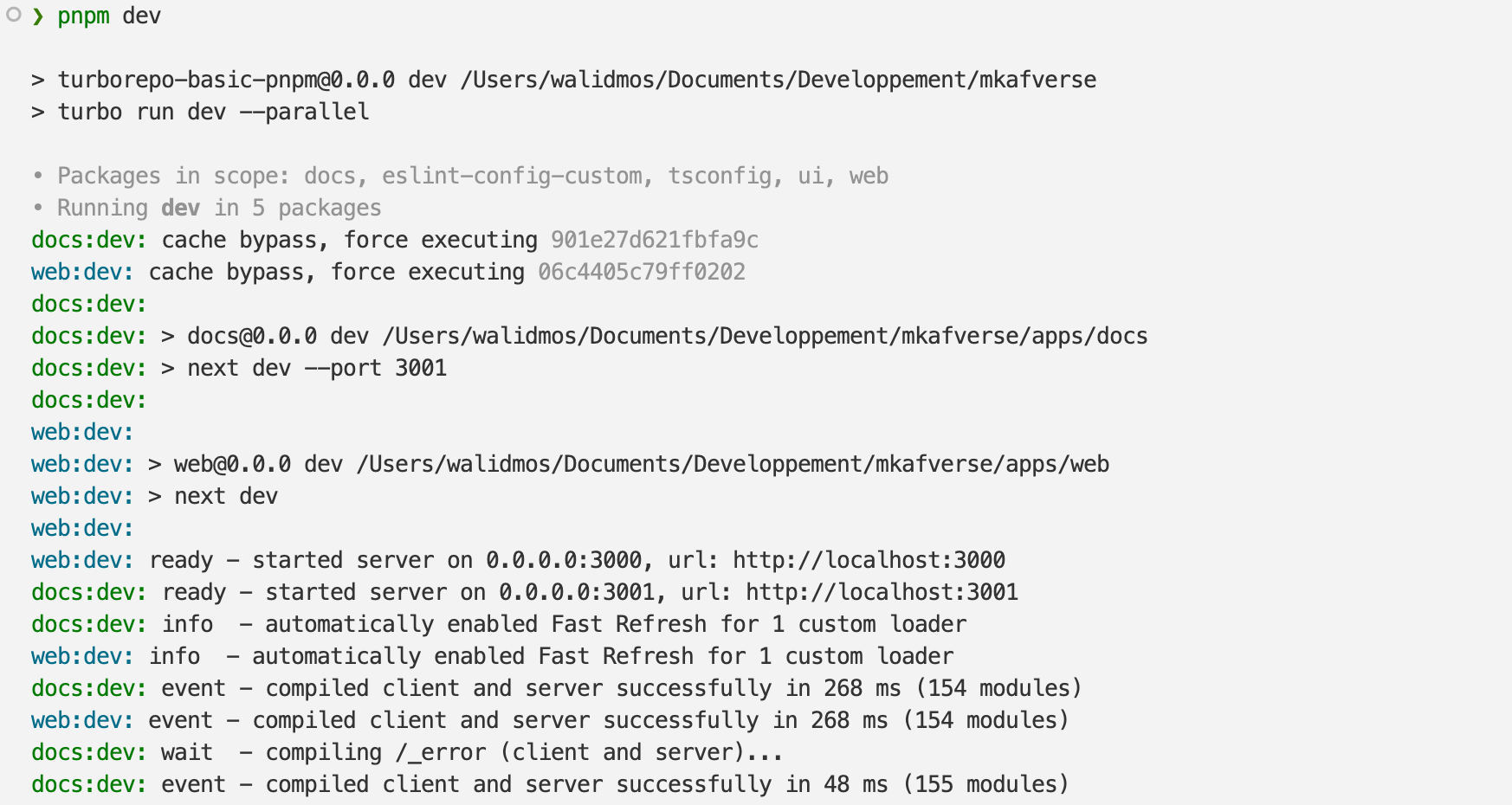 Pnpm in vscode terminal won't run in debug mode · Issue #1633 · vercel/turborepo · GitHub