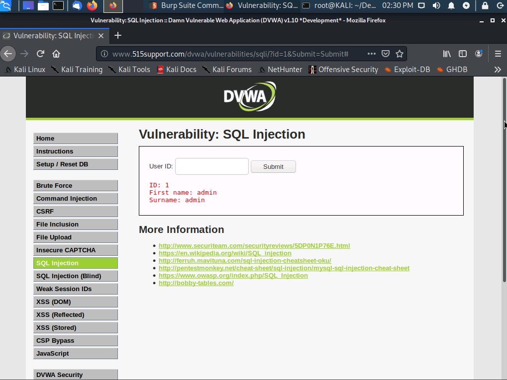 Github Edwinmeleronikto And Burp Suite Analyzing Output From Web Application Assessment Tools