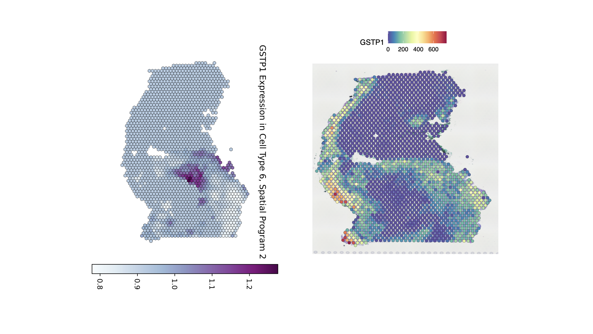 spatial transcriptional program plot Interpretation · Issue #49 · tansey-lab/bayestme · GitHub