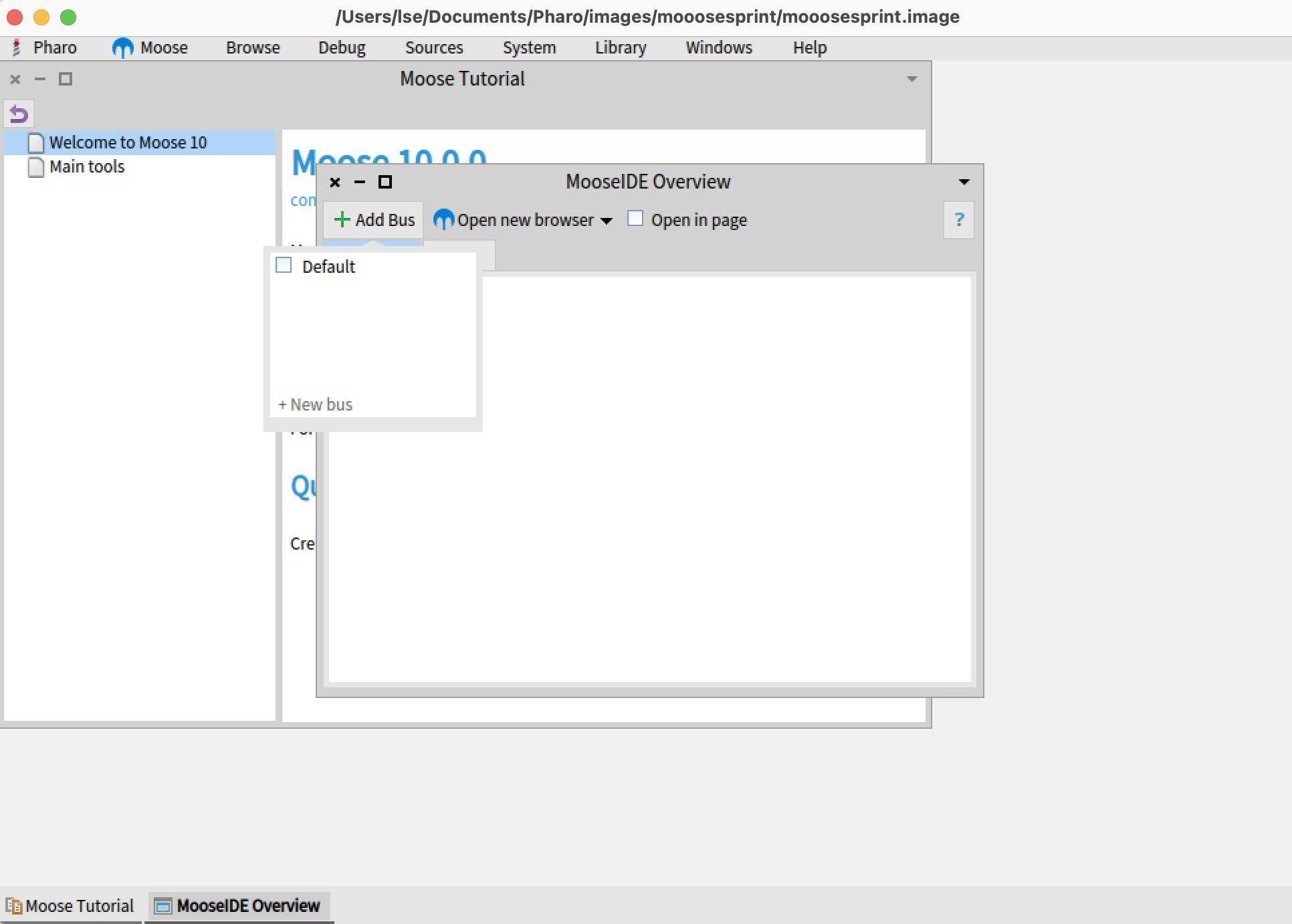 Clicking on Add Bus in a Brand New Image and Moose IDE Overview Throws Exception · Issue #654 ...