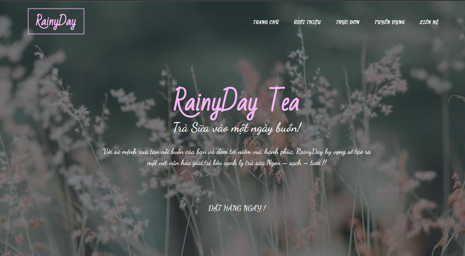 GitHub - vitiskina/rainyday