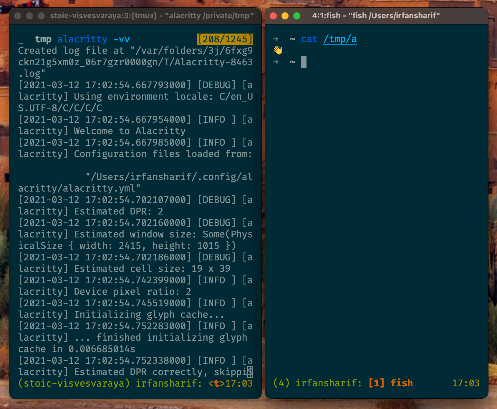 Emoji and other special characters don't render under tmux + big sur ...