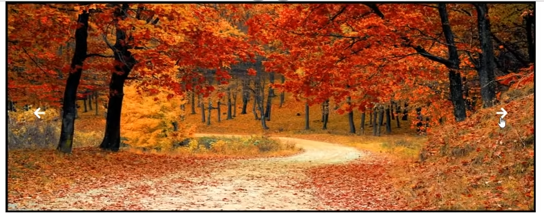 Title Image Slider · Issue 465 · Webeginners Community Css Effects Designs · Github