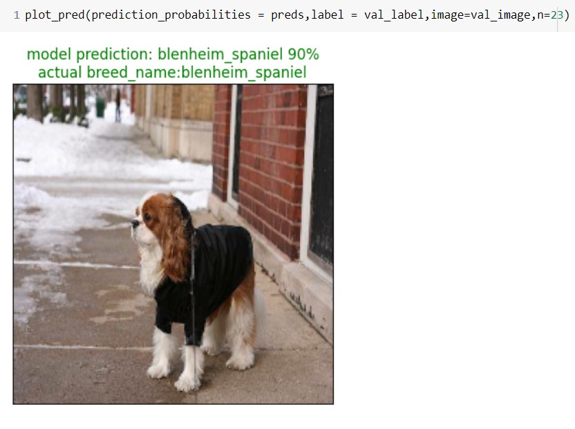 GitHub - octopuspaul110/dogify: A streamlit app that can classify dog ...