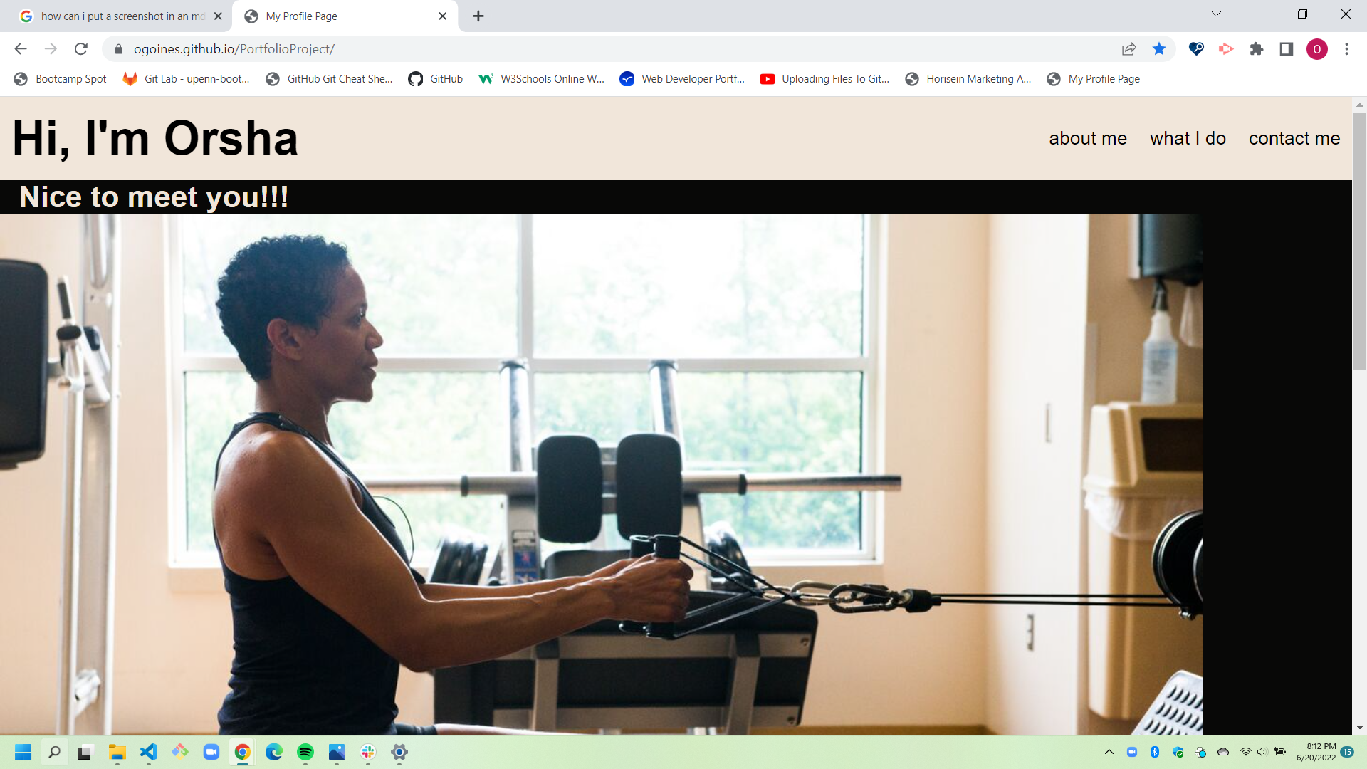 GitHub - ogoines/Portfolio