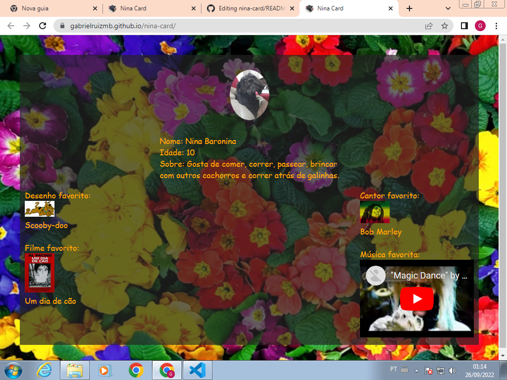 GitHub - gabrielruizmb/nina-card: Um card da nina!