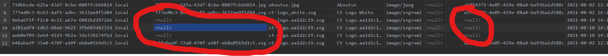 Files not uploading / displaying properly · Issue #7318 · directus/directus · GitHub