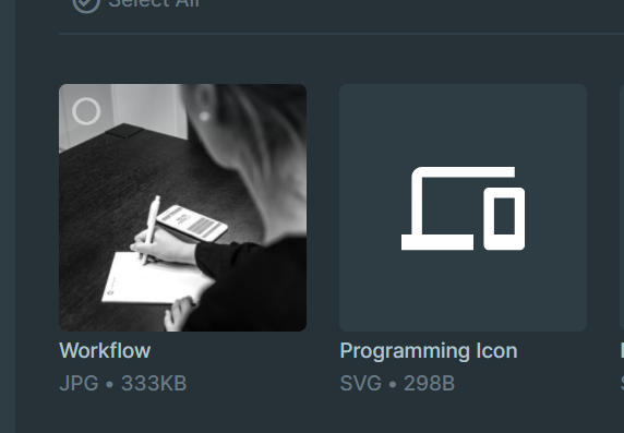 Files not uploading / displaying properly · Issue #7318 · directus/directus · GitHub