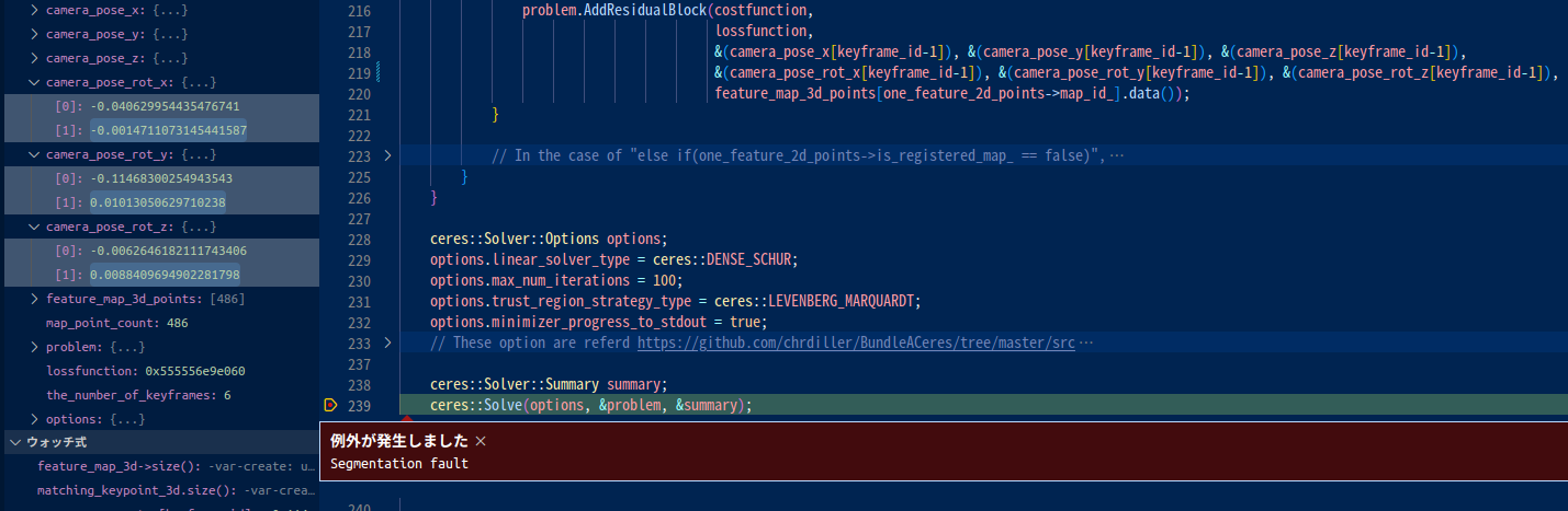 Segmantation fault occur at ceres::Solve() · Issue #906 · ceres-solver/ceres-solver · GitHub