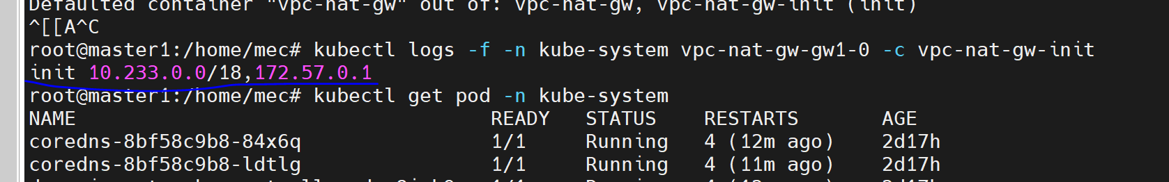 nat-gateway.sh init not exec after k8s cluster reboot · Issue #3241 · kubeovn/kube-ovn · GitHub