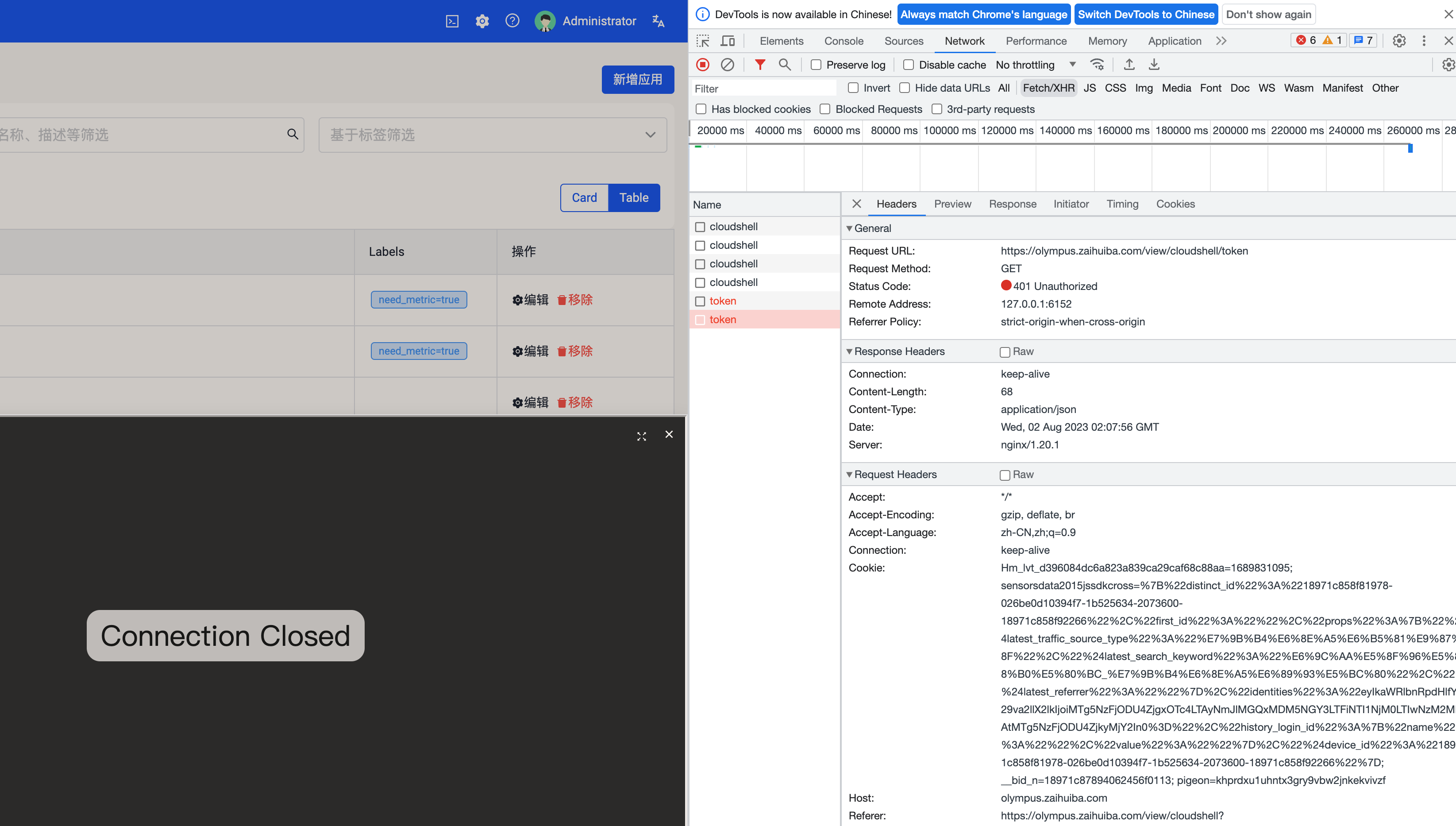 `/view/cloudshell/token` request 401 will terminate new cloudshell session · Issue #5005 ...