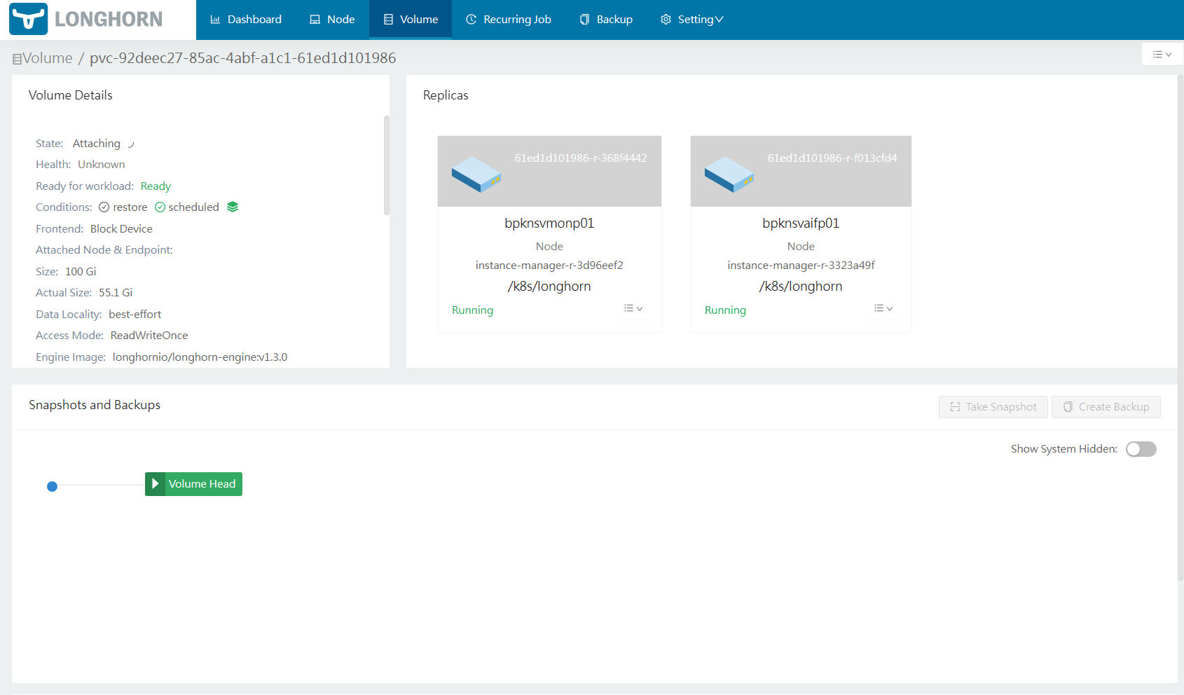 [BUG] Replica not attaching · Issue #5300 · longhorn/longhorn · GitHub