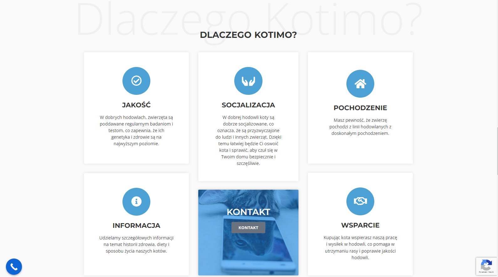 GitHub - bar-85/Kotimo-hodowla-kotow: Wordpress