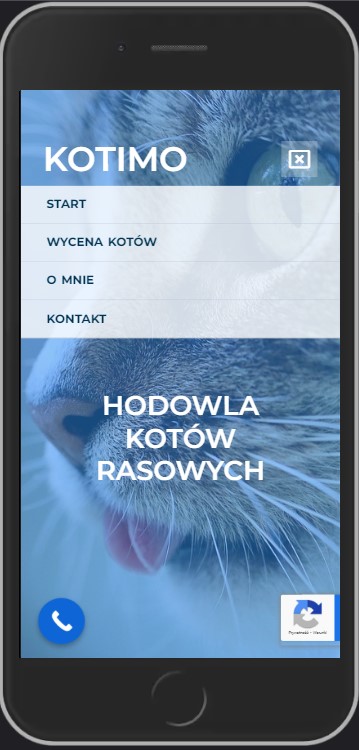 GitHub - bar-85/Kotimo-hodowla-kotow: Wordpress