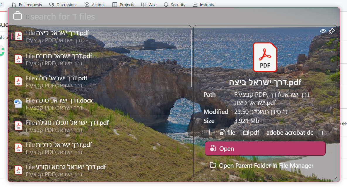 PDF thumbnail previews · Issue #611 · adirh3/Fluent-Search · GitHub