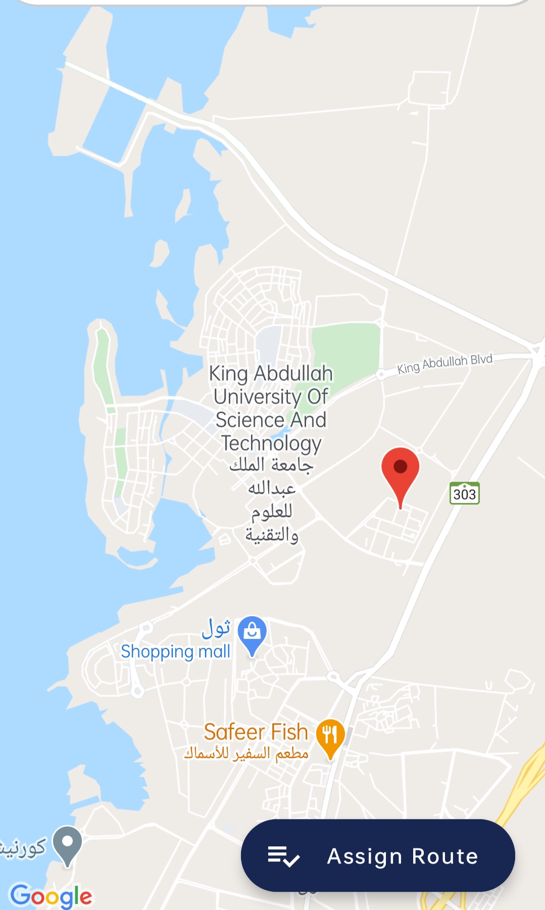 Missing entire locations on Google Maps · Issue #361 · googlemaps ...