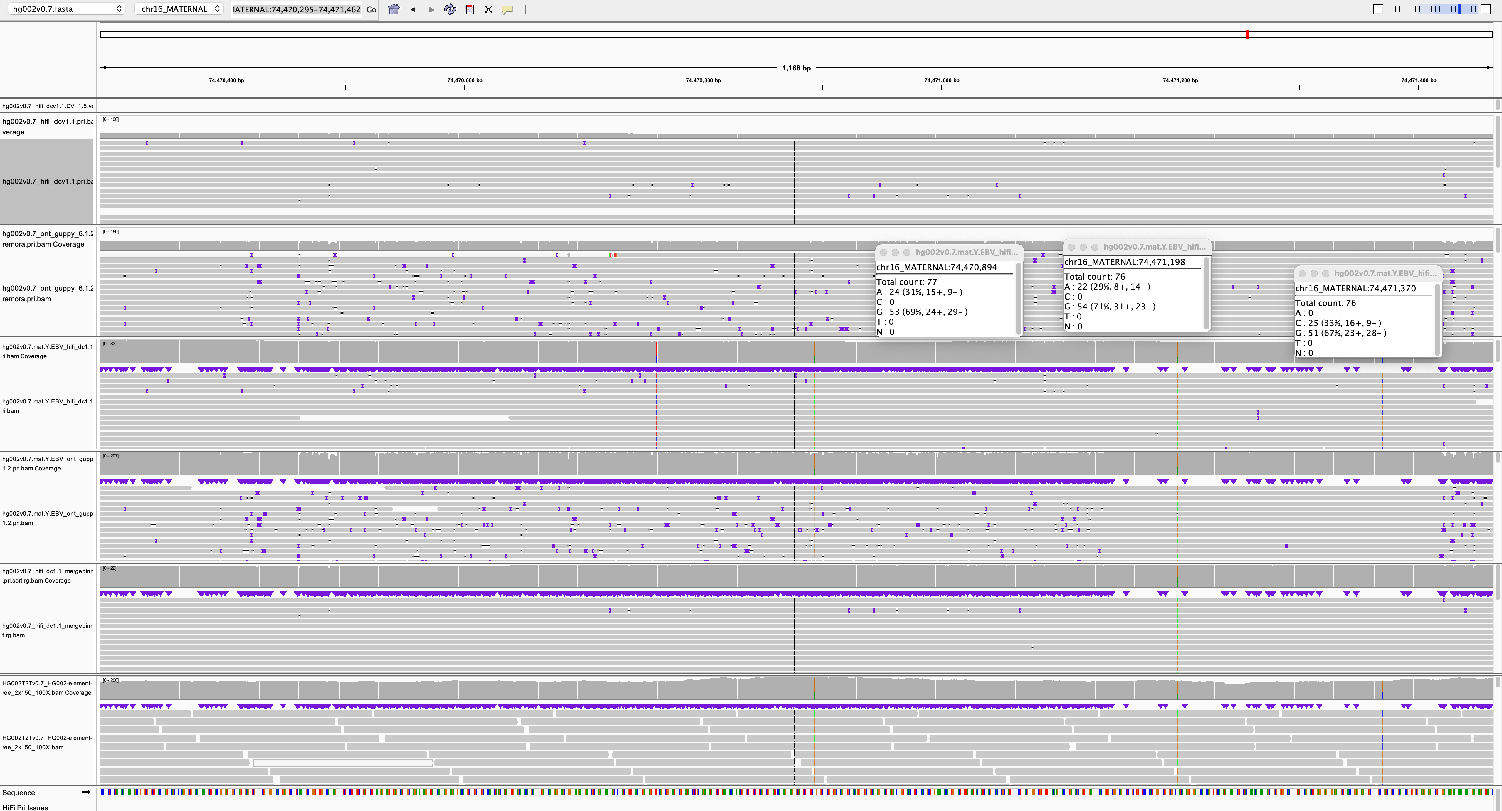 Issue: chr16_MATERNAL:74469143-74478720 · Issue #401 · marbl/HG002-issues · GitHub