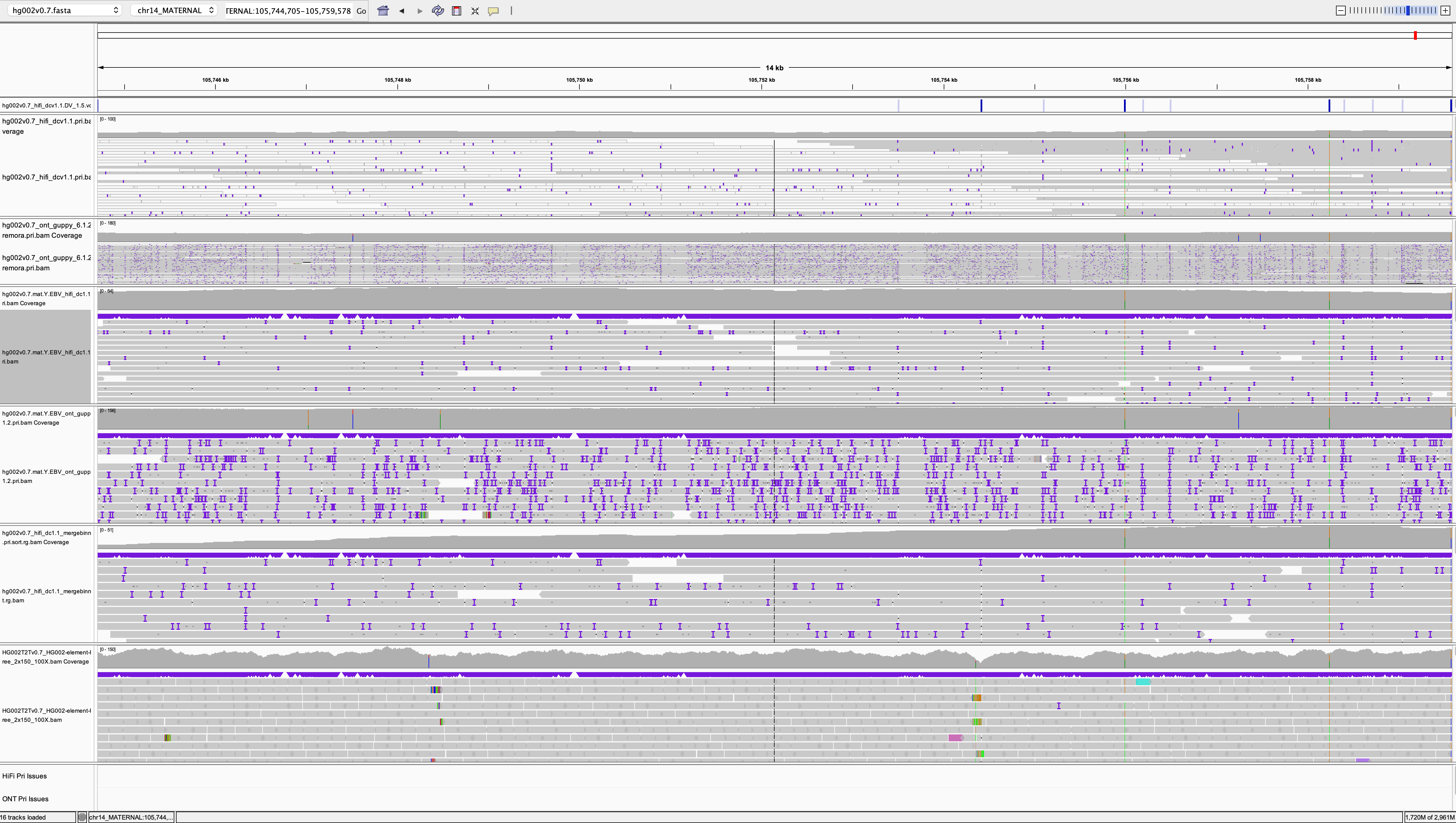 Issue: chr14_MATERNAL:105744705-105759578 · Issue #393 · marbl/HG002-issues · GitHub