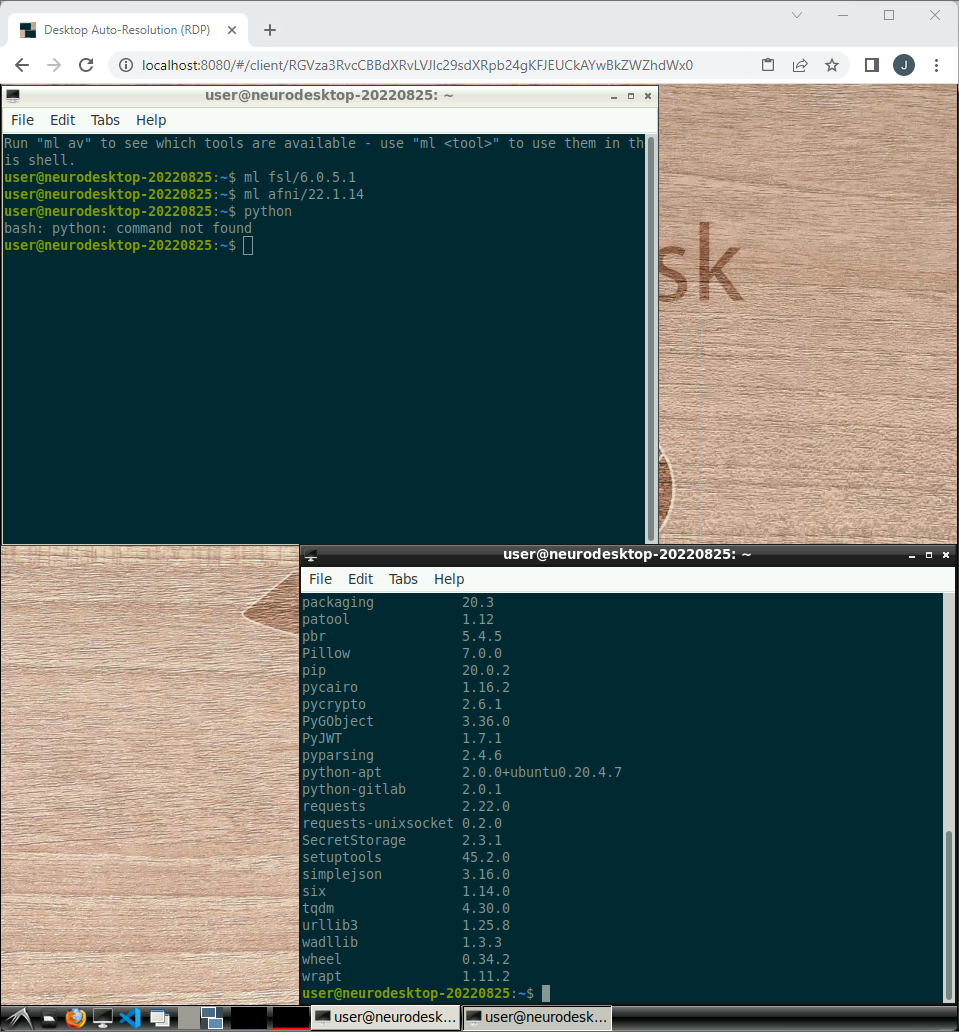 Neurodesk Docker Container Missing Software · Issue #108 · NeuroDesk/neurodesktop · GitHub
