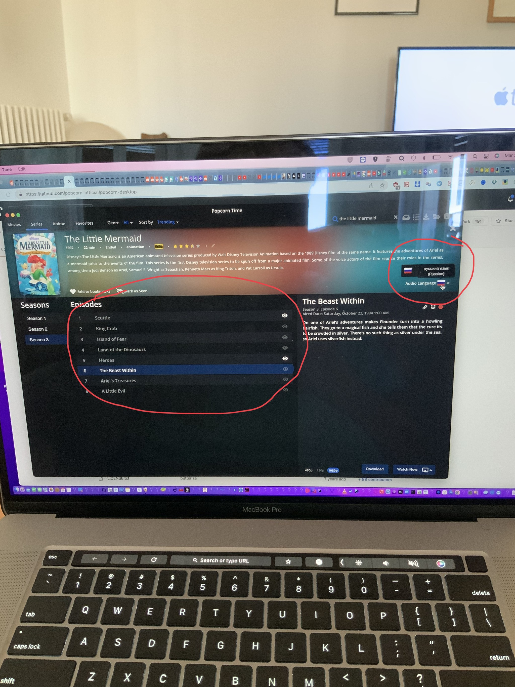 problems with torrents it is torrent collection · Issue #2524 · popcorn ...