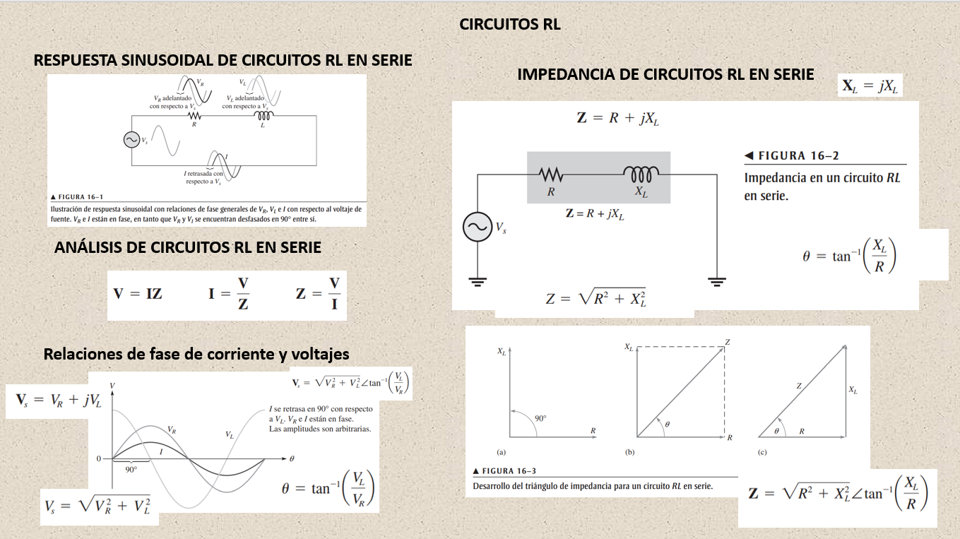 GitHub - DamarisRivera/TAREA-8