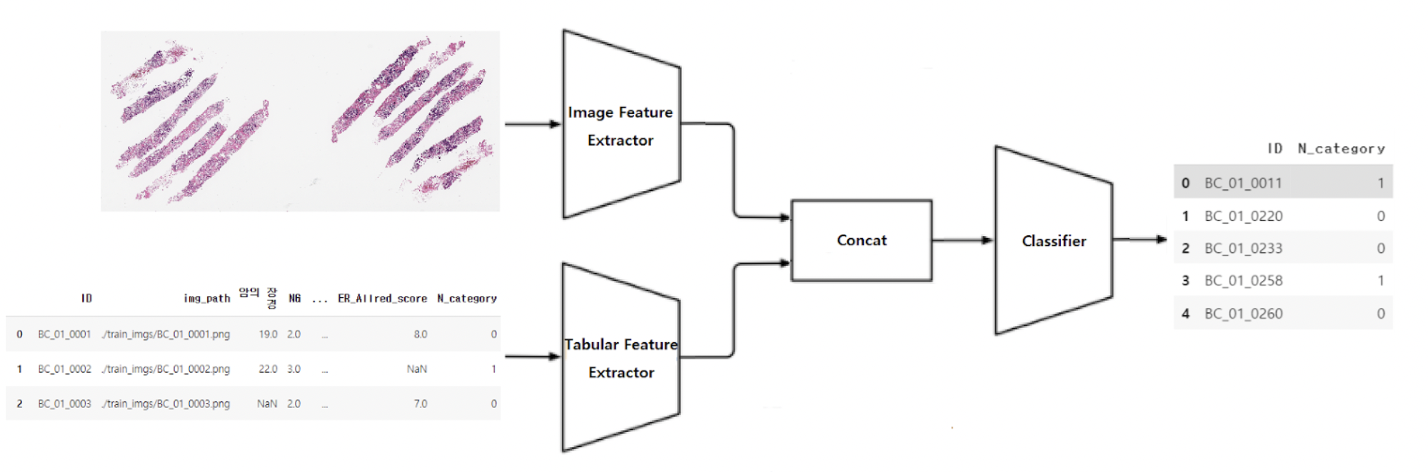 GitHub - bibiana1202/public-4th-place-DACON-AI-competition-for-predicting-lymphadenopathy-of ...