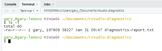 Bold text in terminal using Git for Windows 2.27.0 and RStudio Terminal ...