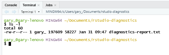 Bold text in terminal using Git for Windows 2.27.0 and RStudio Terminal ...