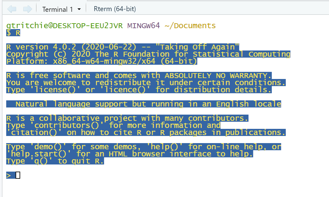 Text background in git bash terminal is red · Issue #7623 · rstudio ...