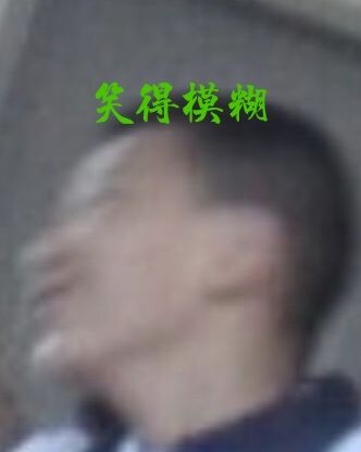 GitHub - SYSTEM-LBW/dpd.github.io