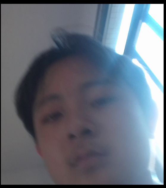 GitHub - SYSTEM-LBW/dpd.github.io