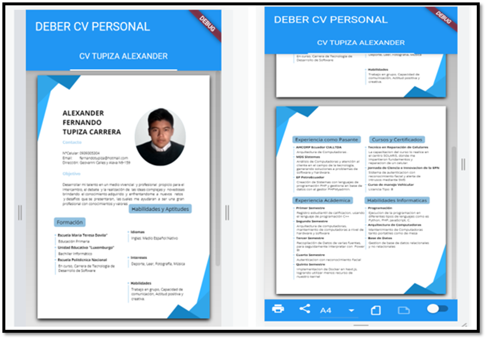 GitHub - FernandoTupiza/Flutter-CV-Pdf