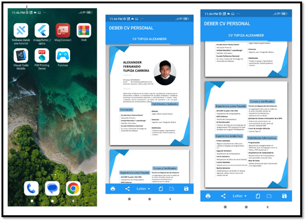GitHub - FernandoTupiza/Flutter-CV-Pdf