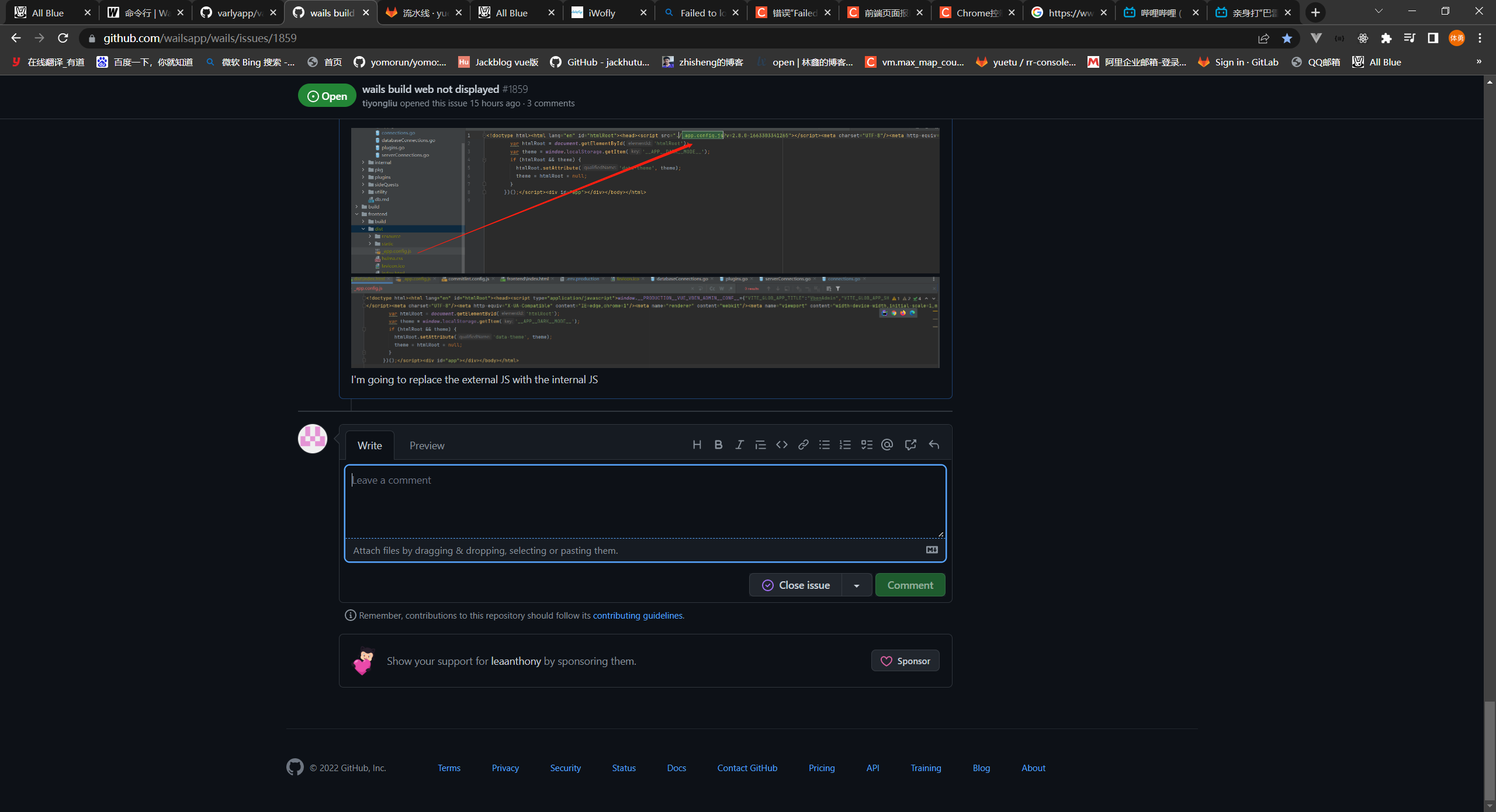 wails build web not displayed · Issue #1859 · wailsapp/wails · GitHub