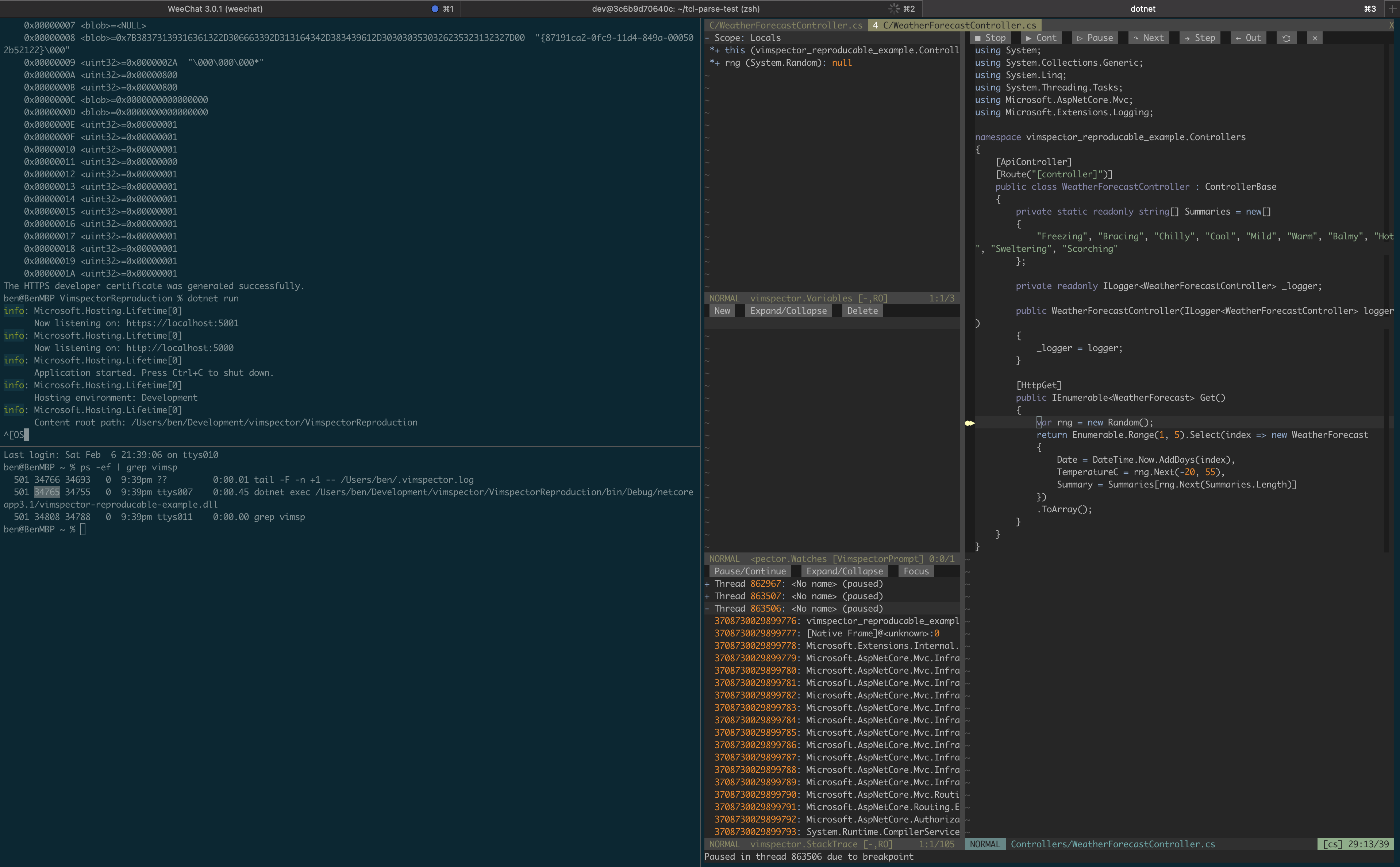 Debugger is empty when attaching to running dotnet core API · Issue #223 · puremourning ...