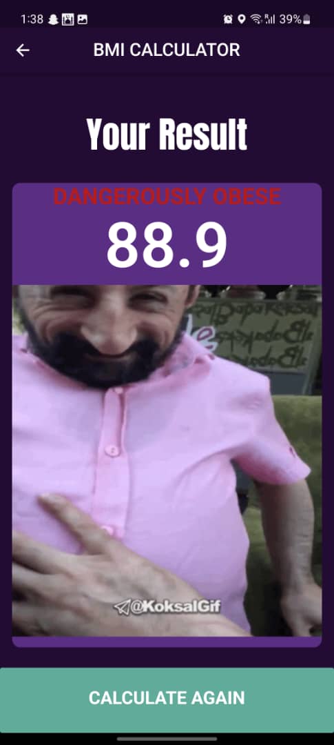 GitHub - yys-yss/bmi-calculator-software