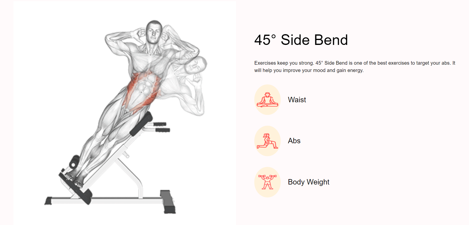 Masoom Rizvi | Portfolio