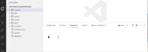 Terminal text invisible when running Codespaces on Safari 15.0 · Issue #133710 · microsoft ...