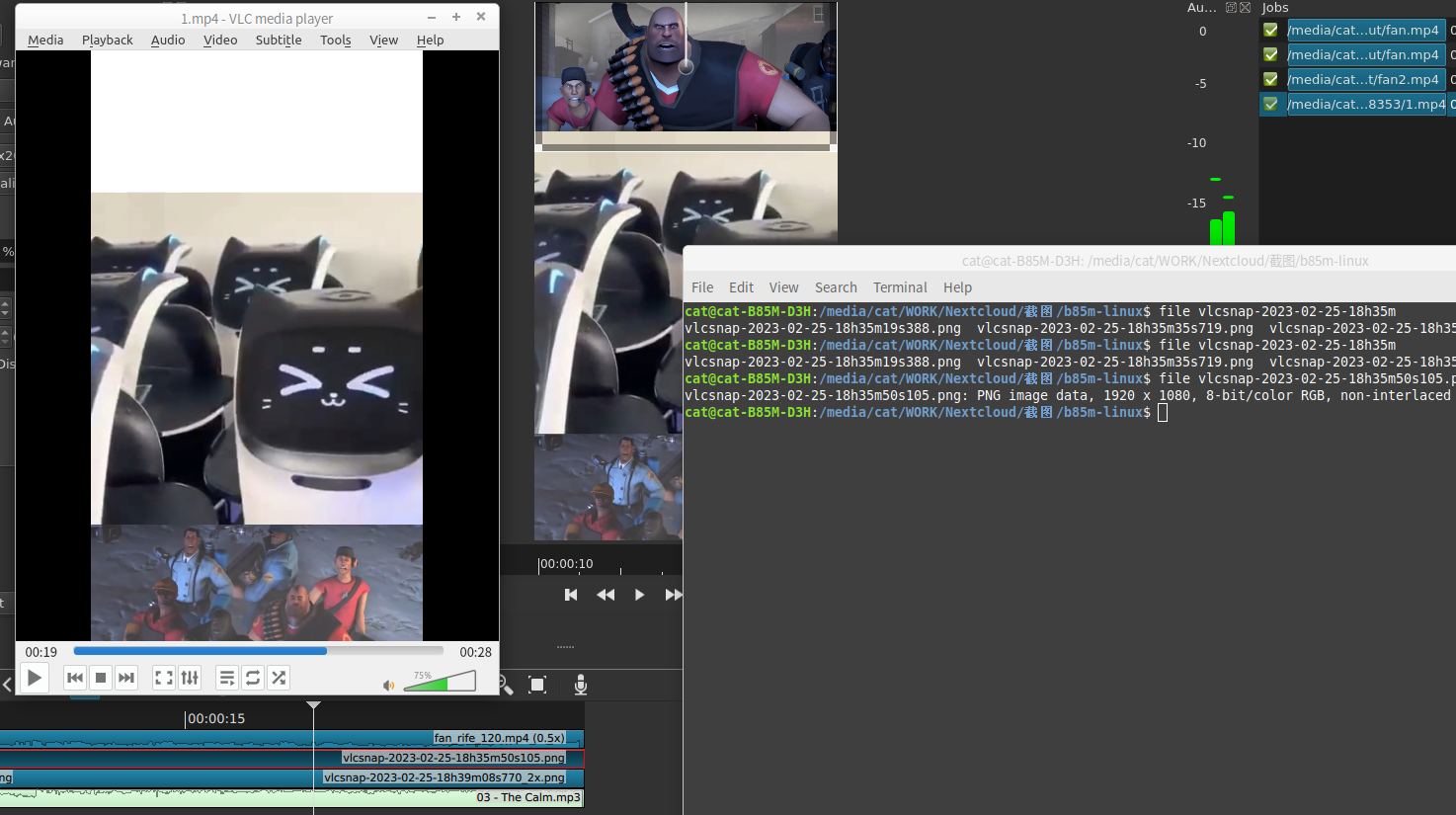 Image is exported as white block, randomly. · Issue #1384 · mltframework/shotcut · GitHub