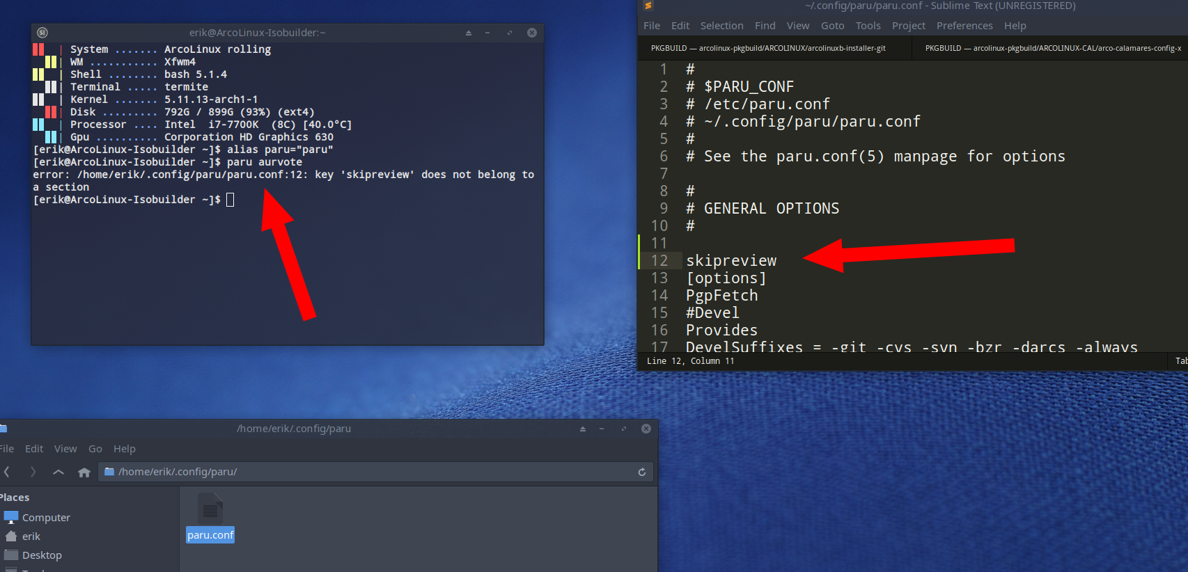 Feature: --skippreview · Issue #319 · Morganamilo/paru · GitHub