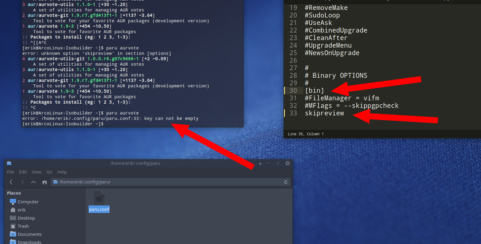 Feature: --skippreview · Issue #319 · Morganamilo/paru · GitHub