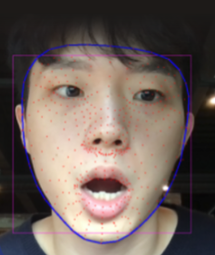 GitHub - reiui9/facemesh_face-landmark-detector: This is base on mediapipe facemesh model