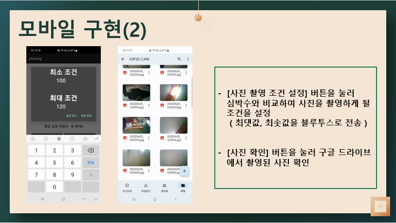 GitHub - Dasolss/Pho-dog