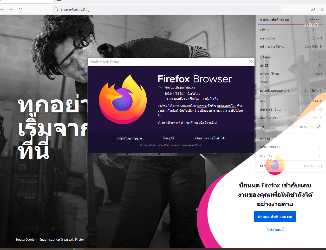 Mypal68 add a language that is not officially supported? · Issue #119 · Feodor2/Mypal68 · GitHub